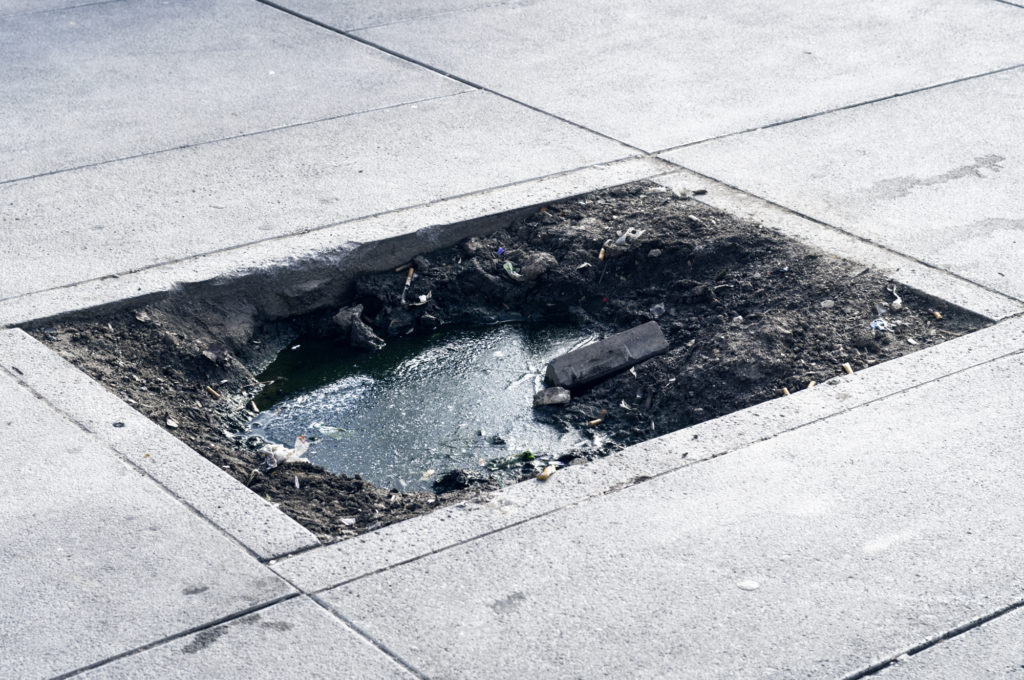 Carol Caicedo y Alejandro Marote, protagonistas del siguiente directo ...